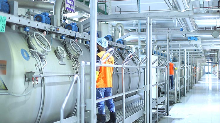 About – Palmal Group of Industries Ltd.